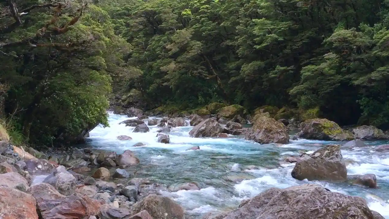 Benjamin Campbell | About